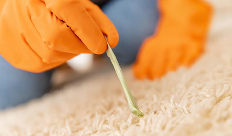 Do You Need Professional Chewing Gum Removal Services? | Washh